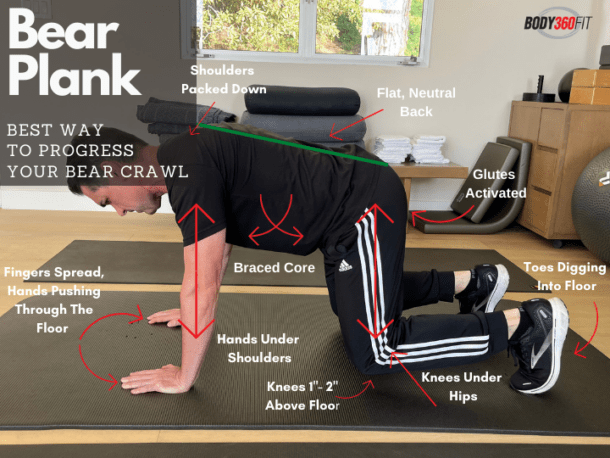 Bear Plank: A Challenging Exercise for Core Strength
