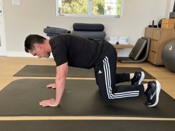 Bear Plank: A Challenging Exercise for Core Strength